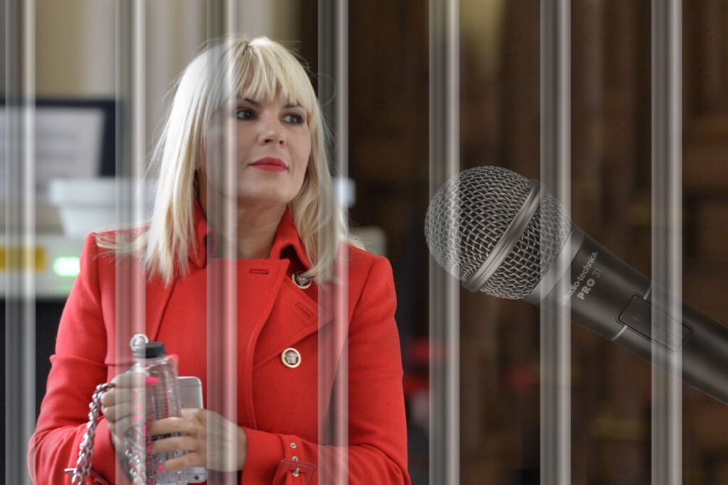 Elena Udrea, primul interviu din închisoare. Pe cine acuză că a trimis-o după gratii: „Cazul meu ...