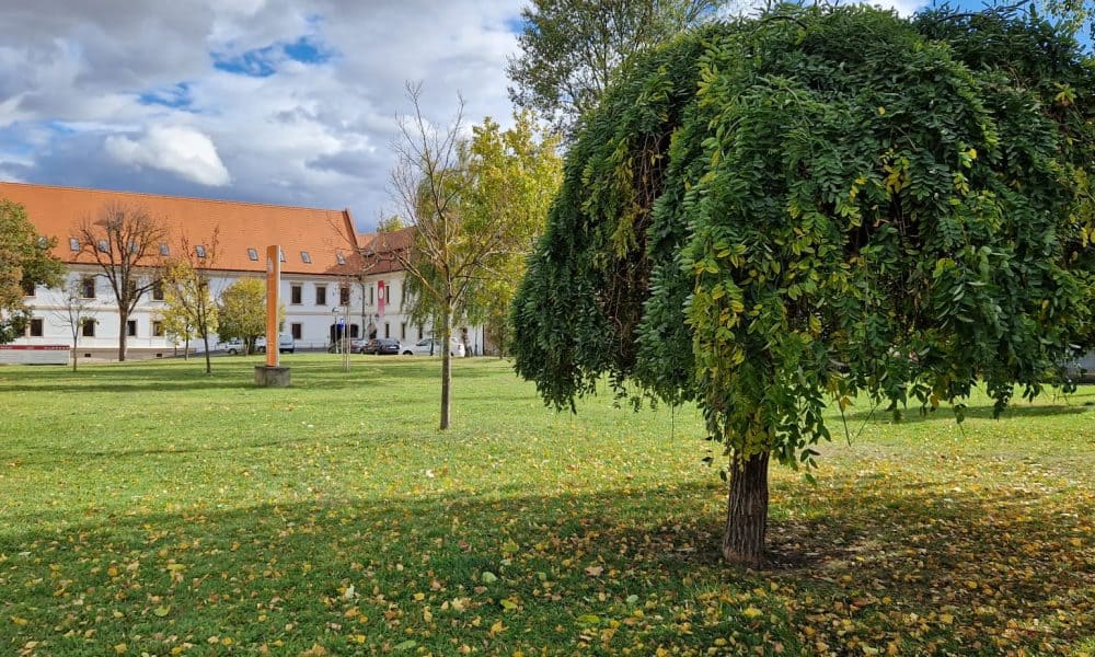 VREMEA în Alba, în weekend 27 – 29 octombrie 2023: Zile frumoase, cu ...