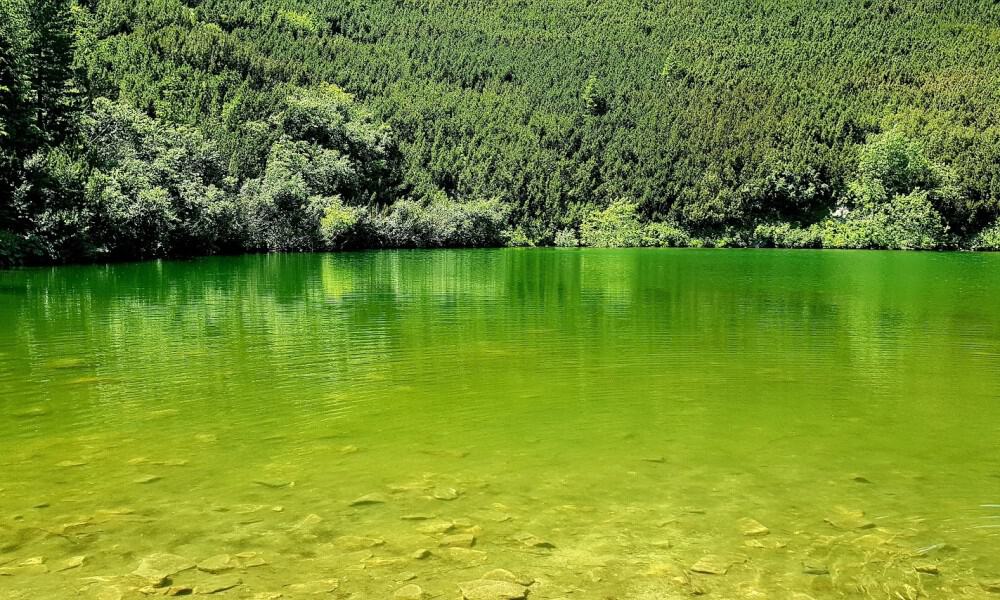 Vremea în Alba în weekend 26 – 28 iulie: Revin temperaturile caniculare ...