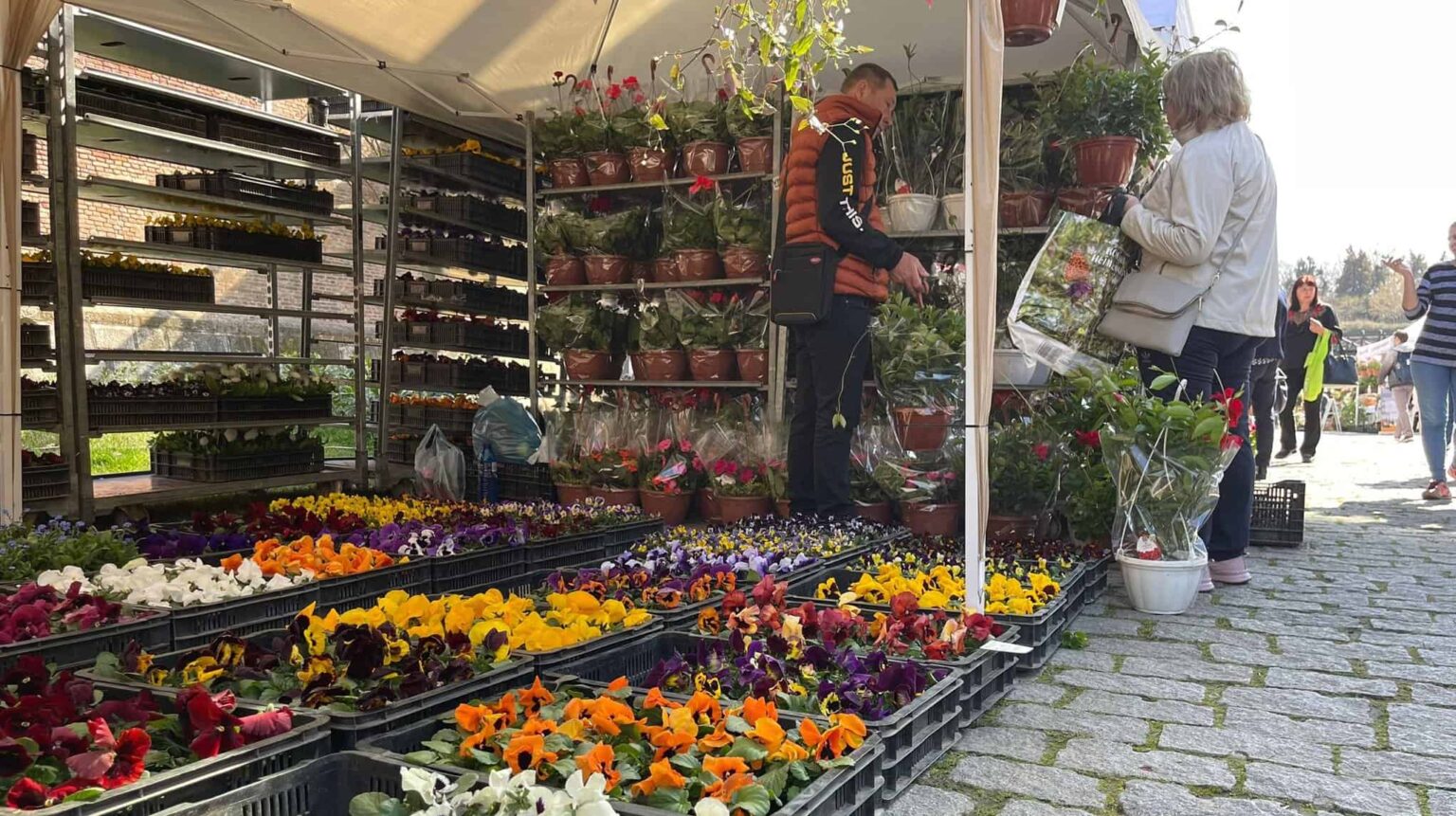 Târgul Grădinarului revine în Cetatea Alba Carolina. Când va fi ...