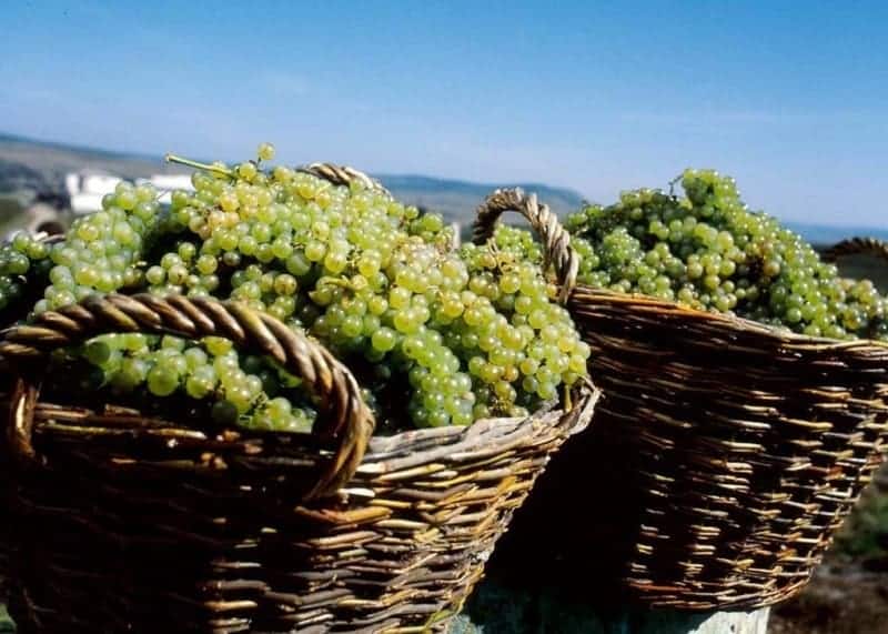 Luna septembrie – începutul toamnei. Tradiții, denumiri populare ...